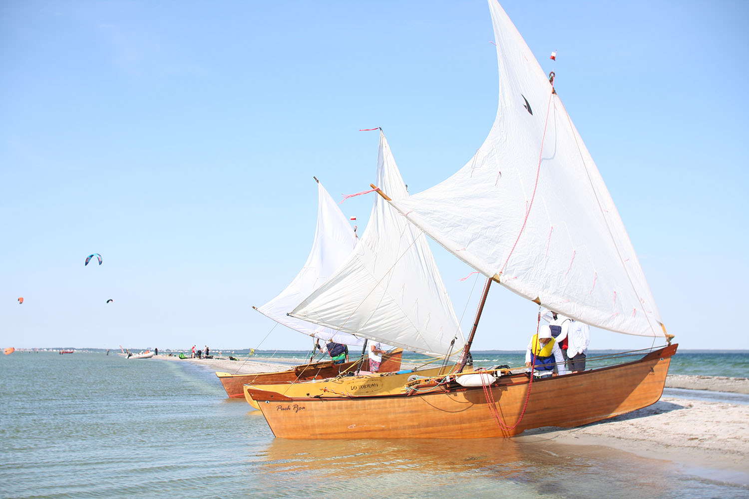 Considerations on Crab Claws – which contour gives biggest sail area ...